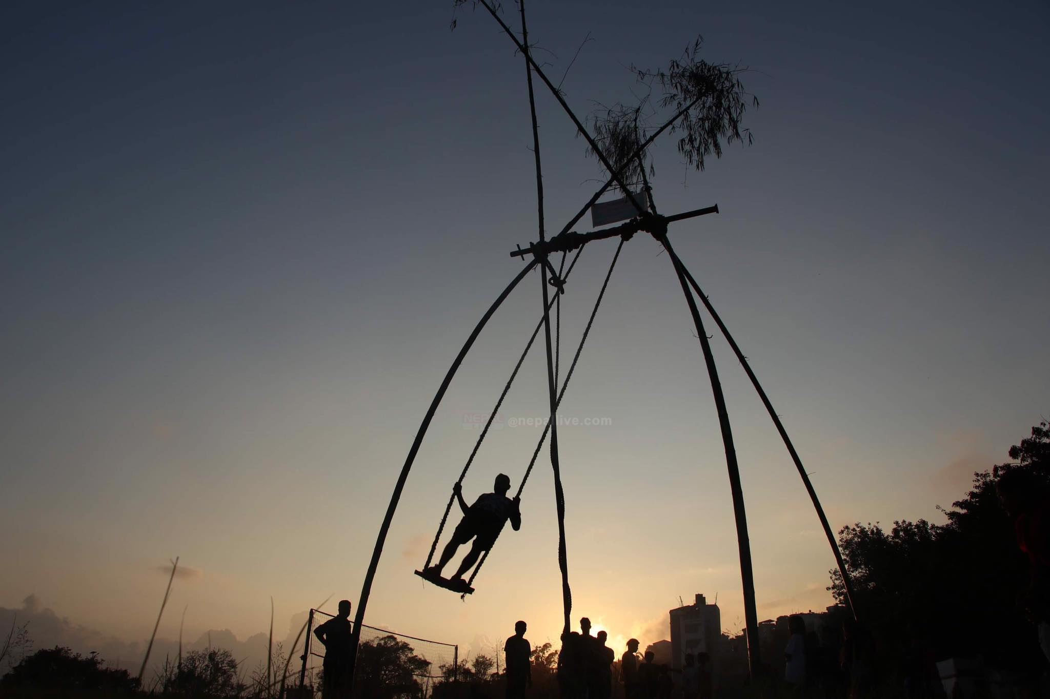 Swinging on a Dashain swing (photo feature) - Nepal Live Today Nepal Live Today
